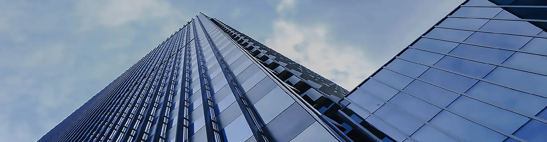 Companies - LSC Infratech